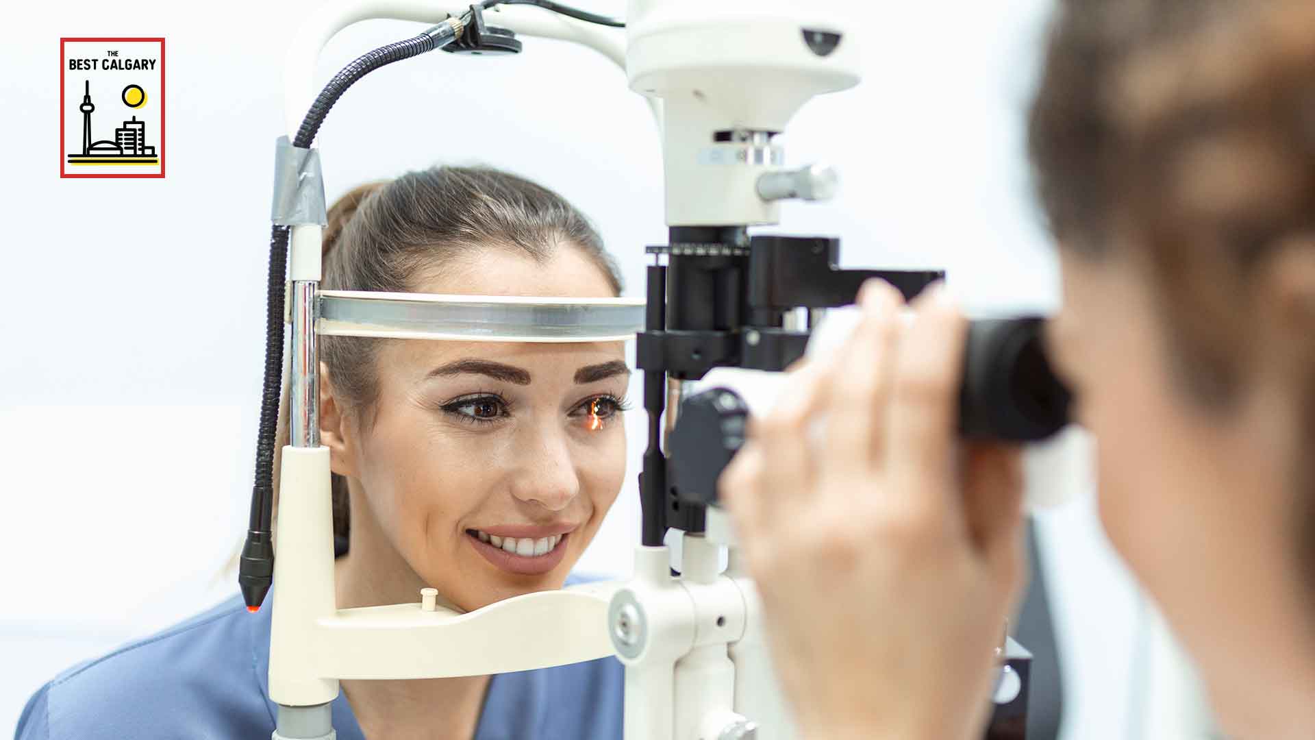 The 7 Best Notary Public Services in Calgary [2025 ]