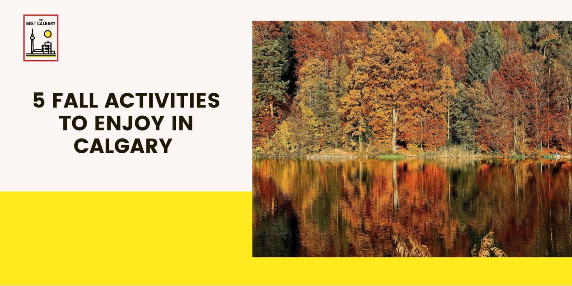 5 Fall Activities to Enjoy in Calgary [2026]