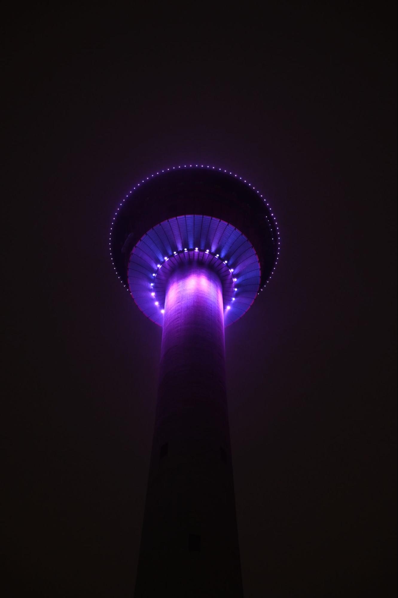 Amazing Things You Can Do at Calgary Tower [2026]