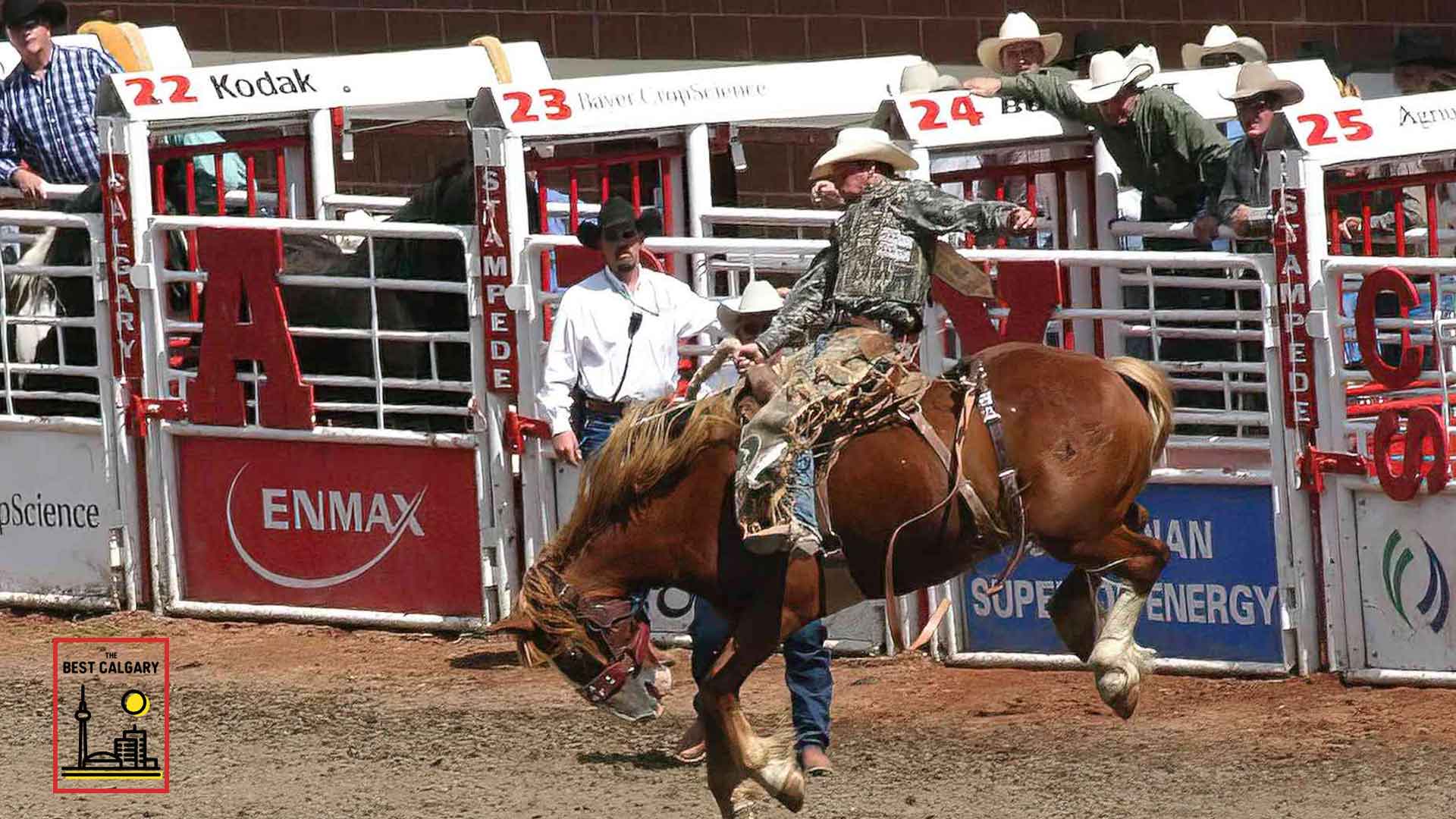 Calgary Stampede Rodeo
