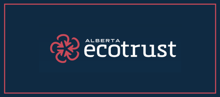 The 18 Best Calgary Charities to Donate Time and Money To [2025 ]