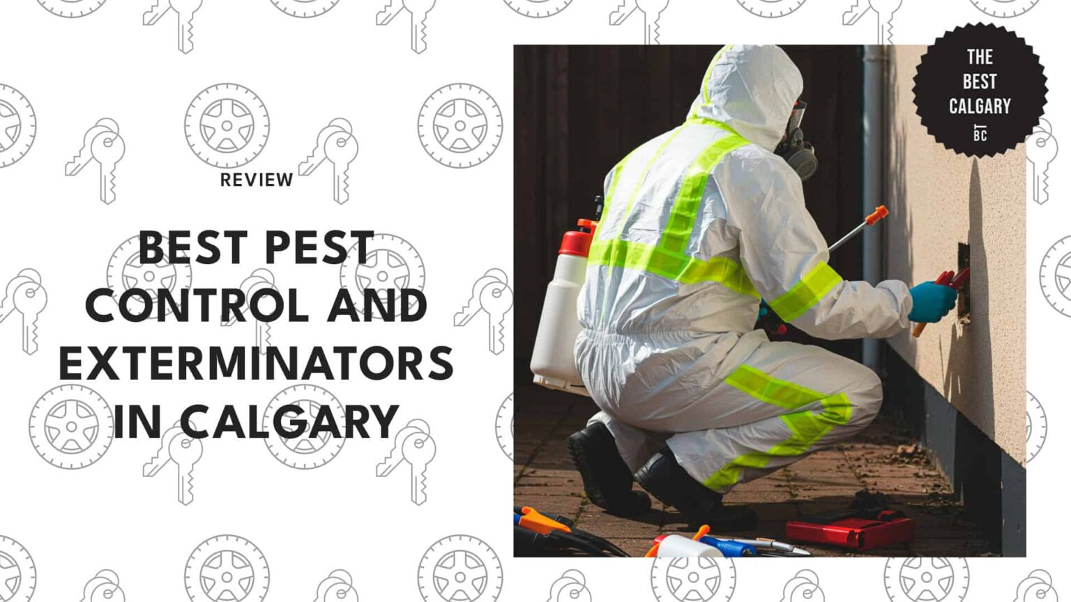 14 Best Pest Control and Exterminators in Calgary [2025 ]
