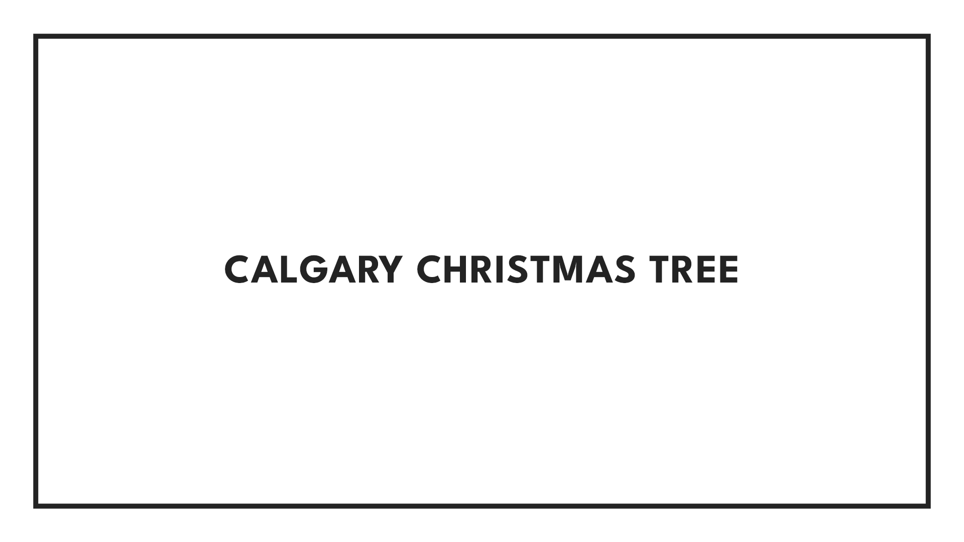 5 Christmas Trees in Calgary That’ll Make Santa Envious [2025]